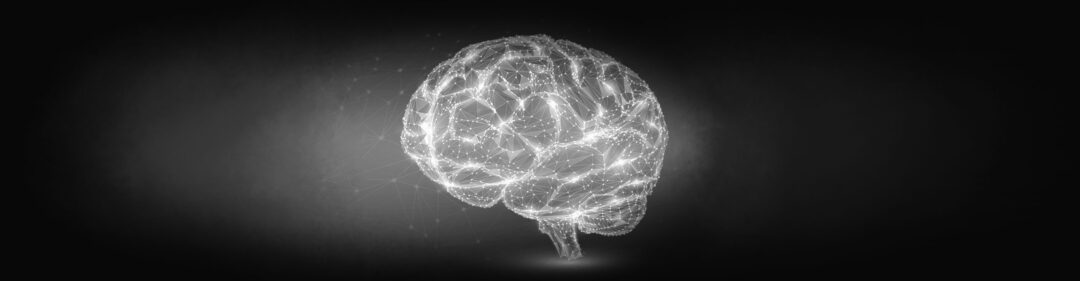 Artificial Intelligence and Machine Learning – Volga Partners