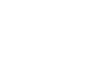 Careers – Volga Partners